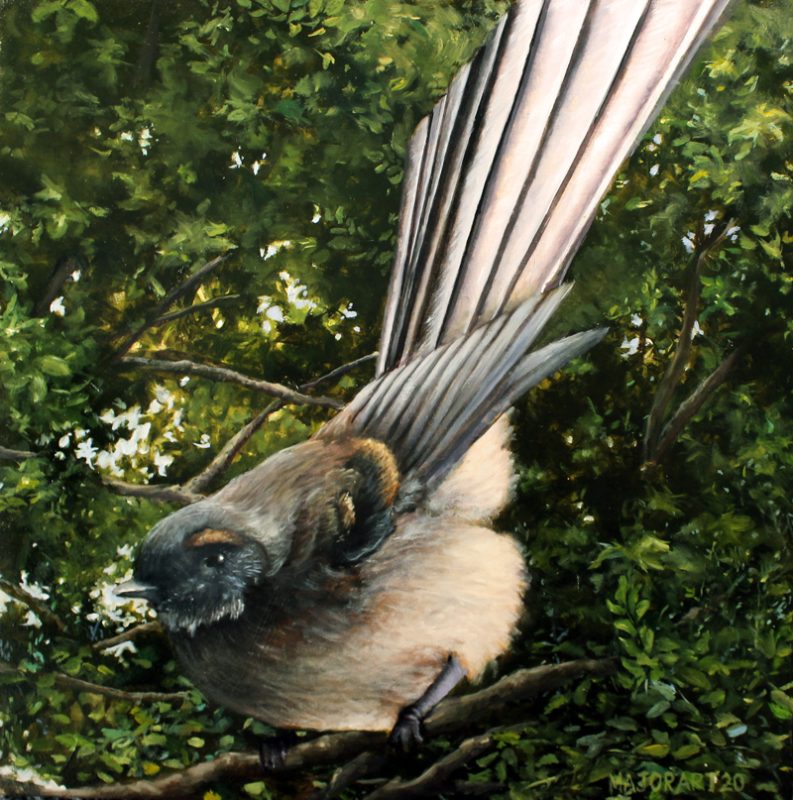 Gallery • Major Art